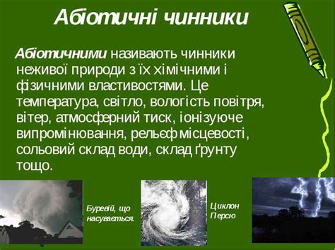 СЕРЕДОВИЩЕ ІСНУВАННЯ презентація з біології