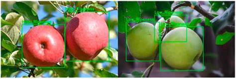 the fruit recognition and evaluation method based on multi model collaboration