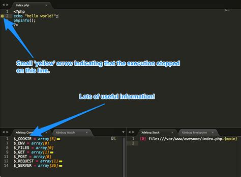Tener Azúcar Hospital Xdebug Sublime Solitario Asimilación Investigación