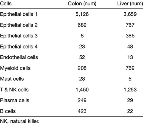 cells between different clusters download scientific diagram