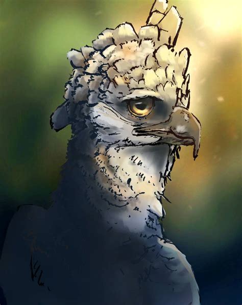 Harpy Eagle By Torigamii On Deviantart
