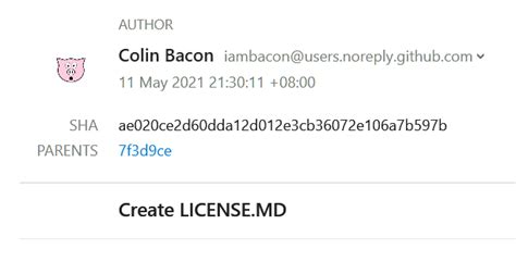 The Pitfalls Of Using A Global Author Identity In Git I Am Bacon