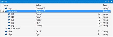 Debugging C Basics