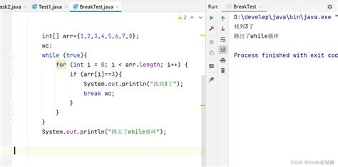Java中break的高级用法brank Java Csdn博客