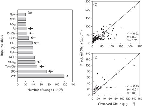 Input Selectivity Of Evolutionary Computation For All Candidate Models