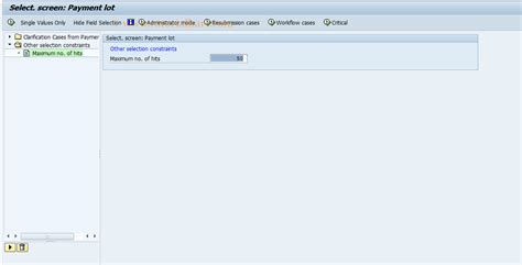 FPCPL ALERT SAP Tcode Clarification Processing Pmnt Lot