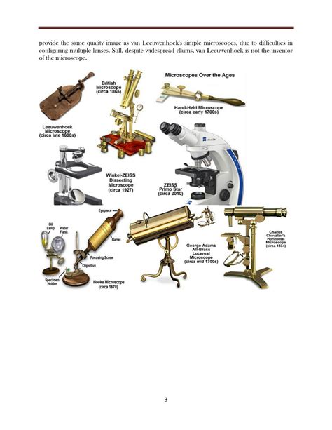 Solution Cell Ultrastructure Studypool