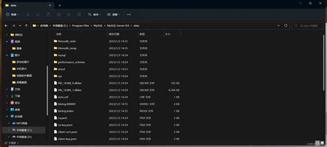 Mysql报错解决办法（常见错误）multiple Primary Key Defined Csdn博客