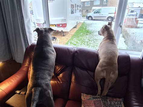 Waiting For Dad Scrolller