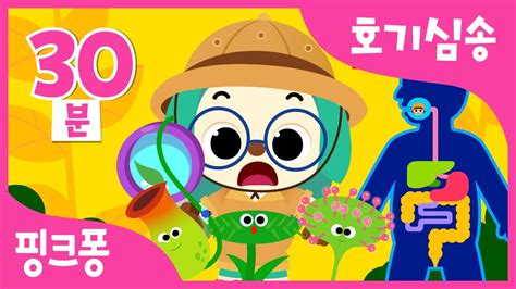 공부친구 핑크퐁 호기심송 인체송 모음집 벌레 먹는 식물 딸꾹질송 외 왜 그럴까 호기심 가득 우리 아이 재미있게 배워요 인체동요 과학동요 핑크퐁 인기