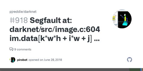 segfault at darknet src image c 604 im data[k w h i w j] data[i