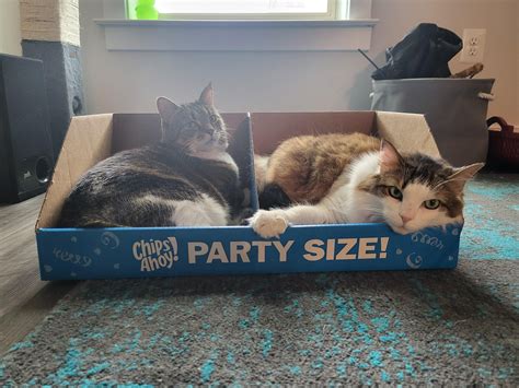 Best R Aldi Images On Pholder Did Aldi Discontinue All Bread