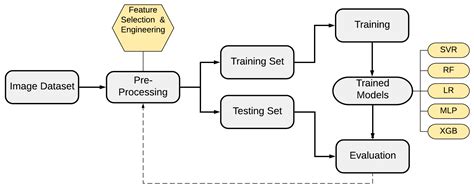 Groundwater Prediction Using Machine Learning Tools