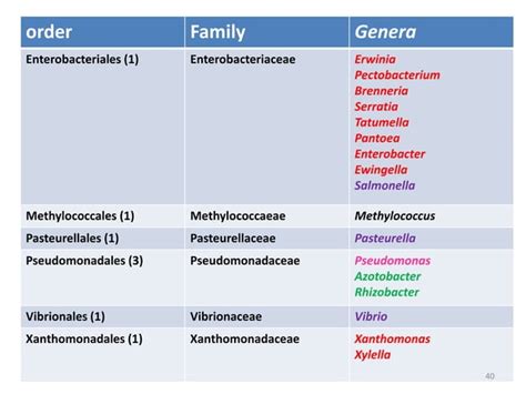 Taxonomy Of Bacteria Bergeys Manual Of Systematic Bacteriology And Gram Negative Bacteria