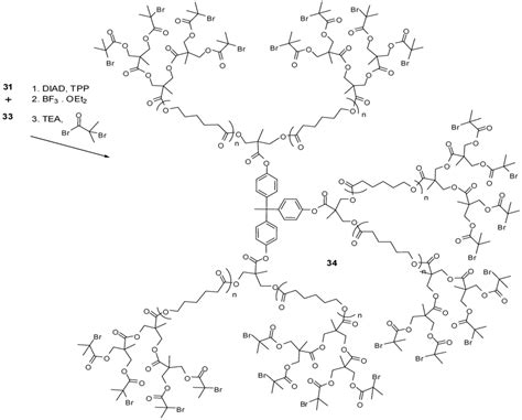 Polymers Special Issue Dendrimers And Hyperbranched Polymers