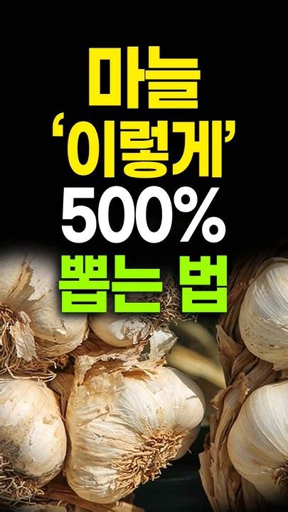 아무도 안알려준 마늘 이렇게 드시면 노년에 근육 살아나요 마늘의 효능과 부작용 마늘과 이것 함께 먹으면 신장 폐 살아났다 건강정보 Youtube