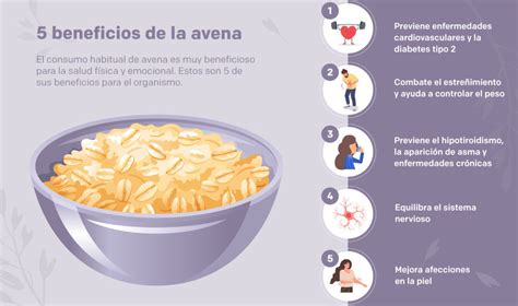 Propiedades Y Beneficios De La Avena Sentirse Bien Se Nota