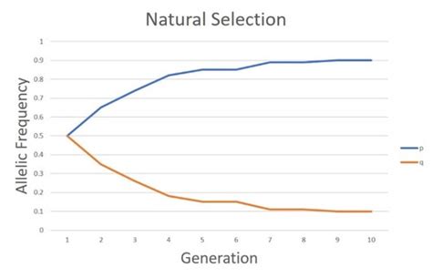 Biol 2 1011 Lab Week 2 Flashcards Quizlet