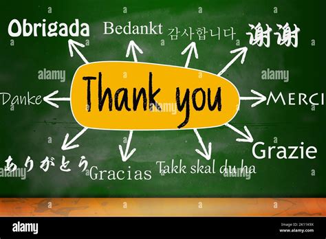Thank You In Different Languages On Chalkboard 3d Rendering Stock