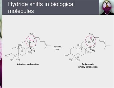 Ppt Chapter 7 Alkenes Structure And Reactivity Powerpoint
