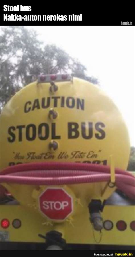 Stool Bus Memes