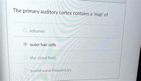 The Primary Auditory Cortex Contains A Map Of Volumes Outer Hair Cells The Visual Field Sound