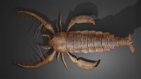 Jaekelopterus Dinosaur 3d Turbosquid 2182132