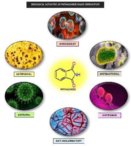 A Review On Drug Discovery Of Phthalimide Analogues As Emerging