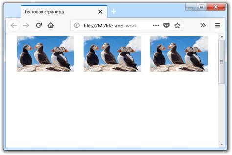 Выравнивание css 62 картинки