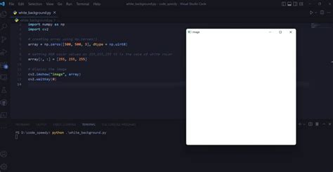 Create A White Background Using Opencv In Python
