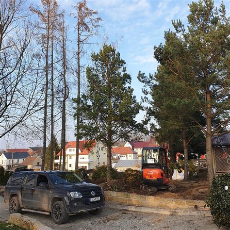 Pomorin Gartenbau