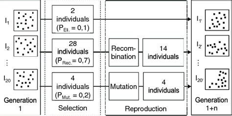 Process Of Selection And Reproduction For A Population Size Np 20