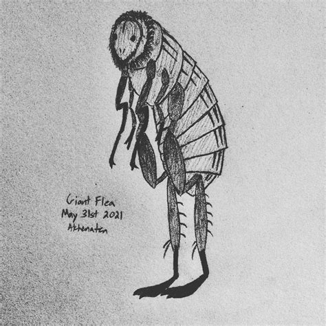 Giant Flea By Akhenaten23 On Deviantart