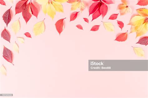 가 구성입니다 프레임 빨간색의 고 분홍색 배경에 노란색의 단풍 평면 위치 최고 보기 0명에 대한 스톡 사진 및 기타 이미지 0명 10월 9월 Istock