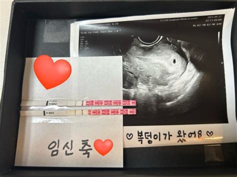 임신 시도 3개월임신 성공 원포 배테기임테기 후기 및 임신 확인 네이버 블로그