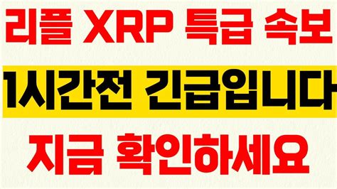 리플 진짜 난리나겠네요 이거 와심각한데 리플 Youtube