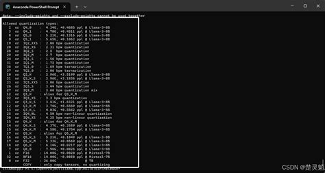 [ai]从零开始的llama cpp部署与deepseek格式转换、量化、运行教程 llamacpp部署 csdn博客