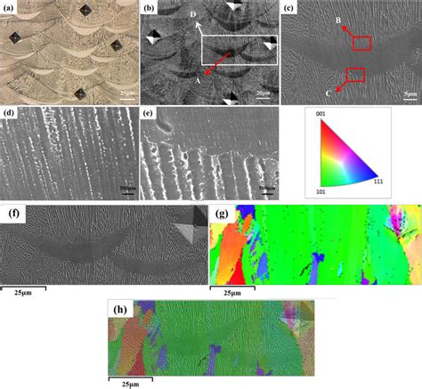 Metallographic Microstructure Sem Microstructure And Orientation Map