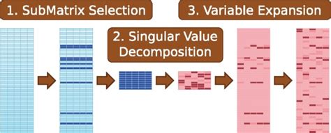 Smssvd Submatrix Selection Singular Value Decomposition Pmc