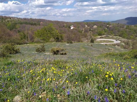 Общинска организация на инвалидите Сливен В Сливен ще се проведе обществено обсъждане на