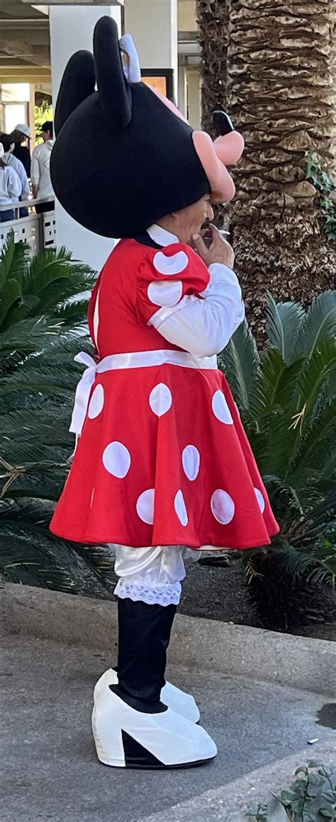 [mdv] Ummm… R Maybedisneyvacation