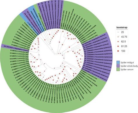 maximum likelihood phylogenetic tree from smased sequences a maximum