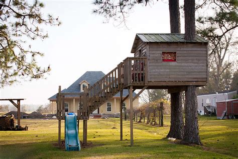 How To Build A Treehouse Without Harming The Tree Expert Tips For A Safe Secure Structure