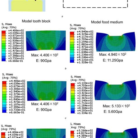 Finite‐element Models Elasticity Moduli Of The Tooth Block And Grit