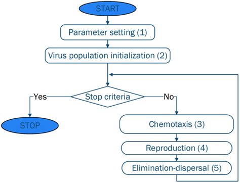 Polymers Special Issue Computational Modeling Of Polymers