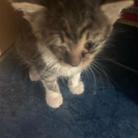 Pgt Dani Pgt Dani • Instagram Photos And Videos