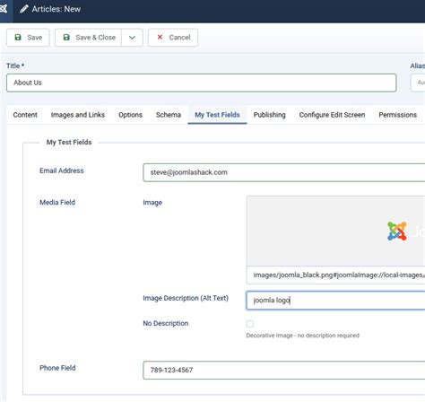How To Use Joomla Custom Fields Joomla Fields Tutorial Joomlashack