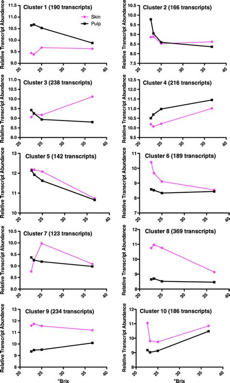 Average Profiles Of All Transcripts Within The 10 Clusters Produced By