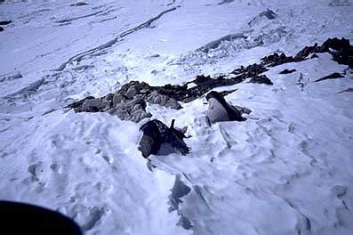 Scott Fischer Death Finally Ready To Confront Everest After Fatal