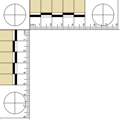 Terminology What Is The Name Of This Ruler For Photogrammetry Where
